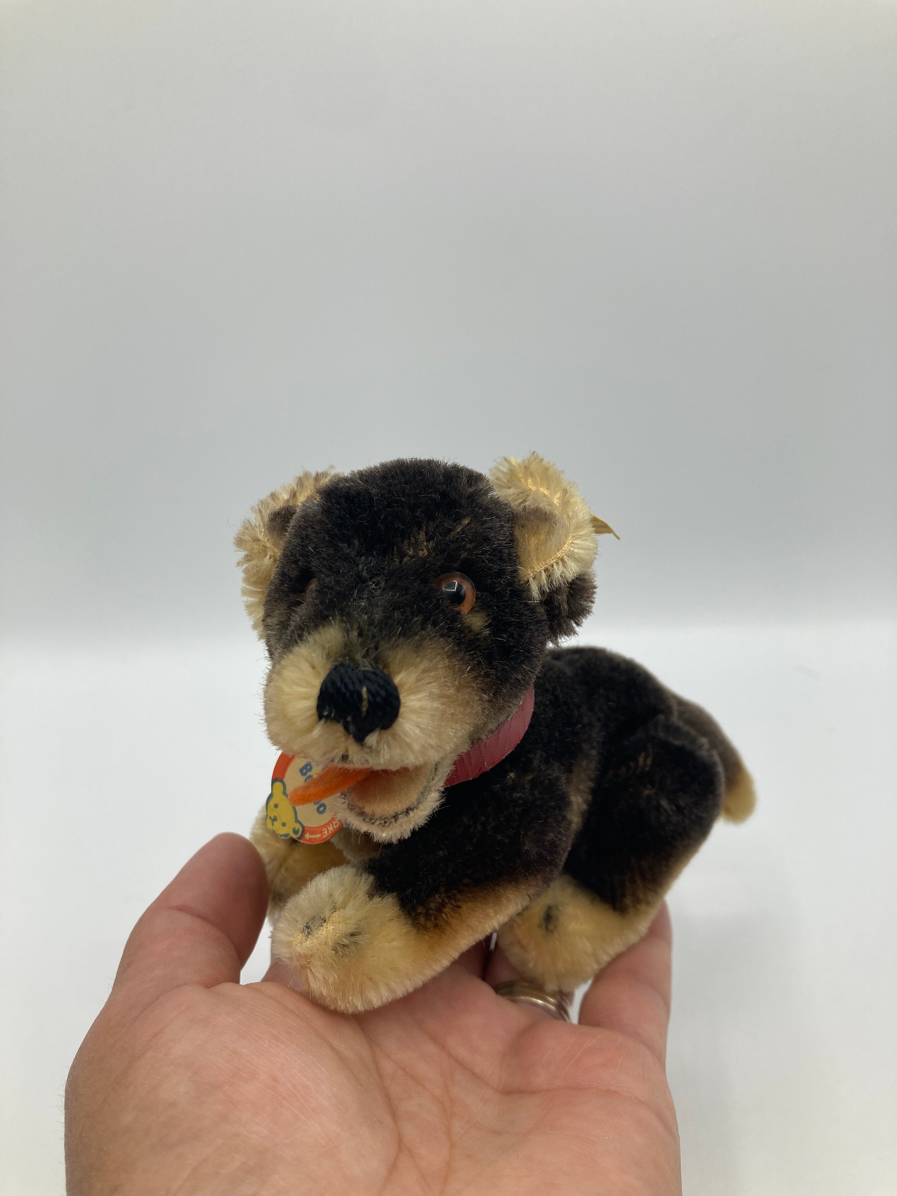 Steiff's Smallest and Fully Jointed Beppo Dachshund Dog With All IDs ...