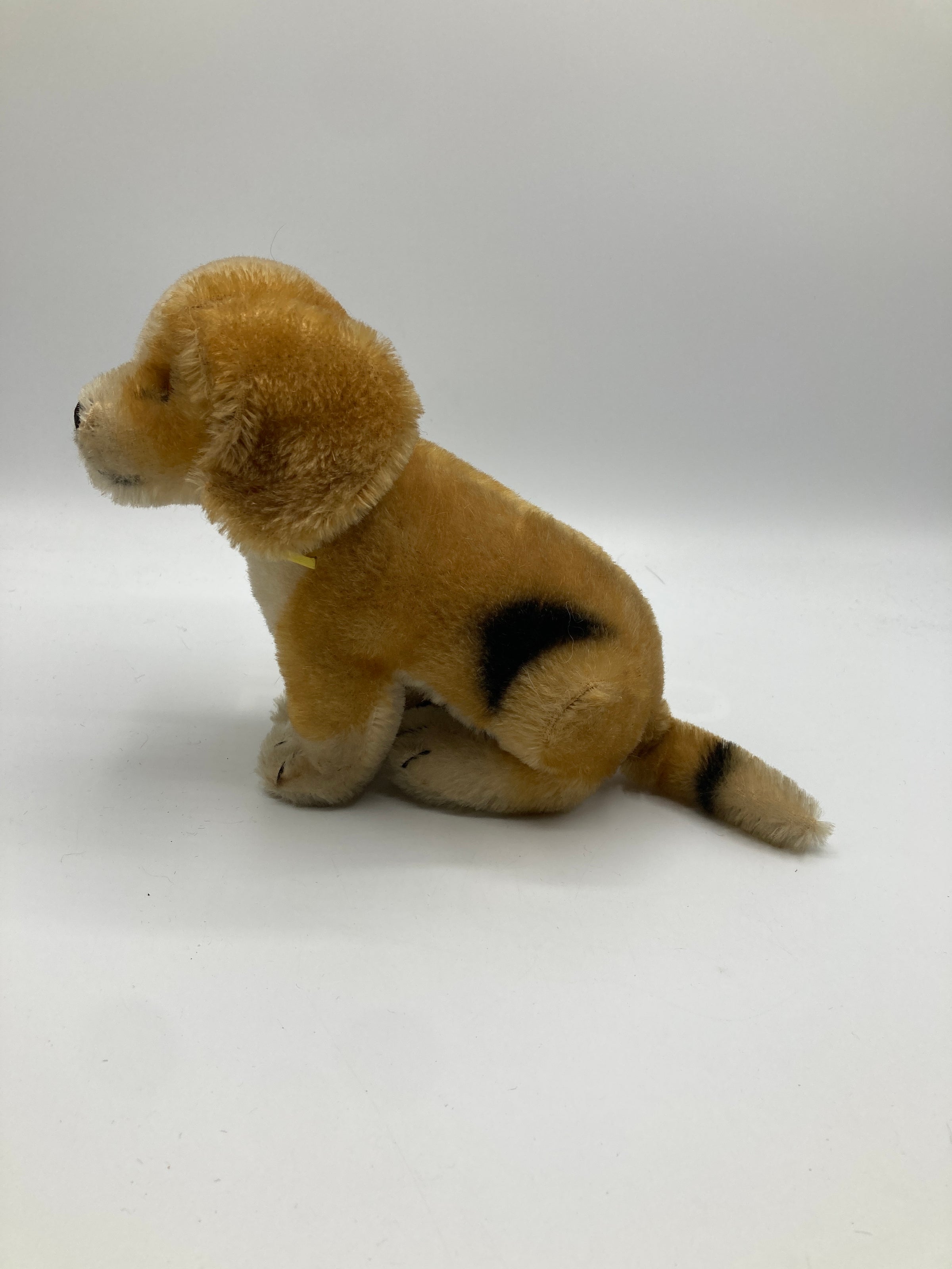 Steiff Largest Mohair Sitting Biggie Beagle With IDs | My Site
