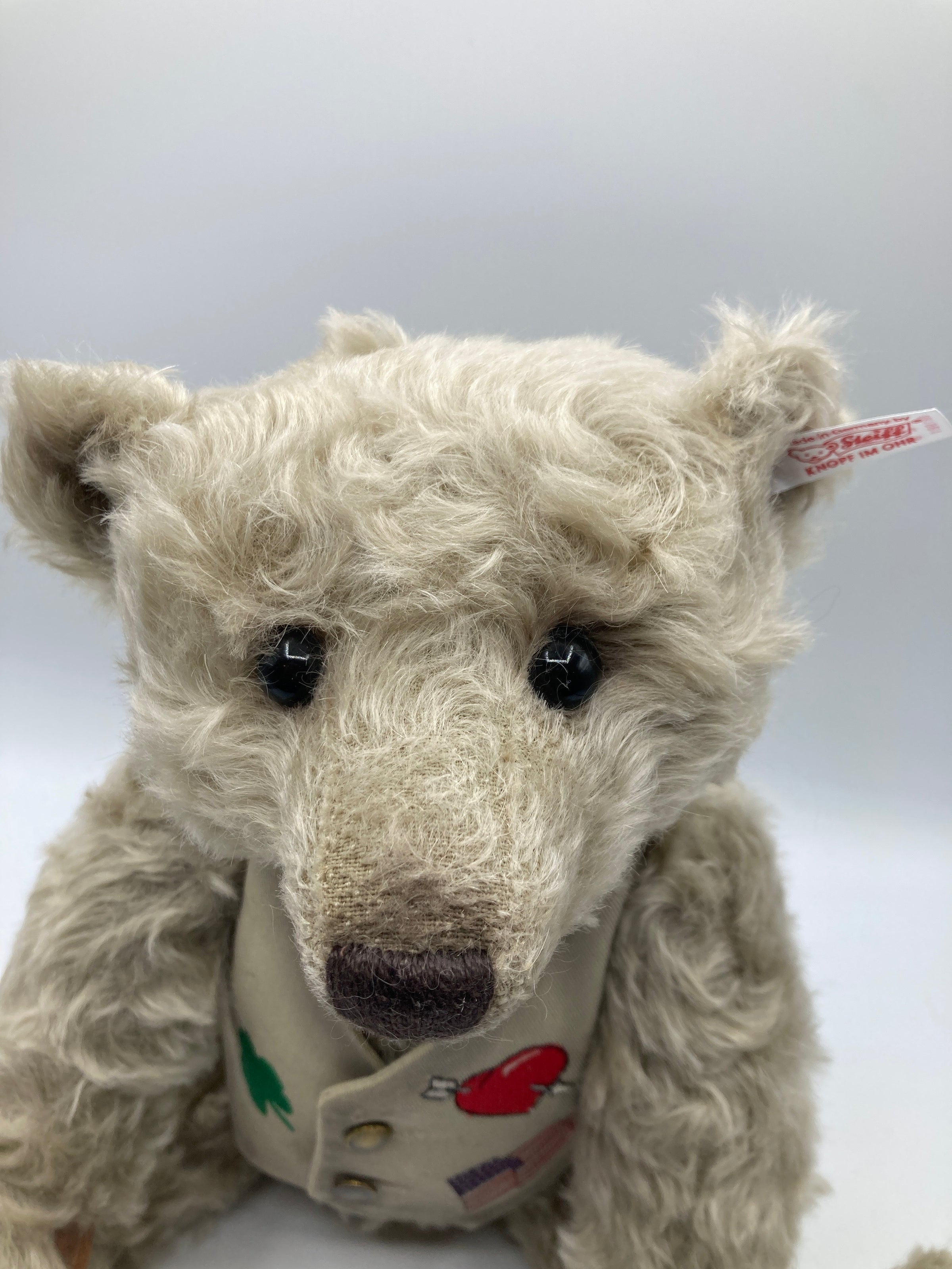 Steiff Mohair Family Heirloom Bear With All IDs | My Site