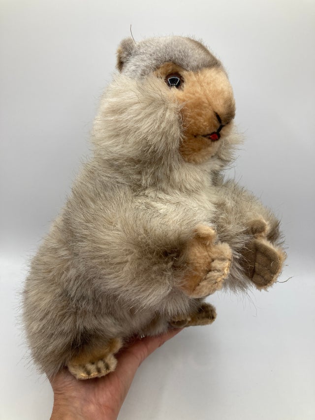 Steiff Soft Plush Molly Piff Marmot With All IDs
