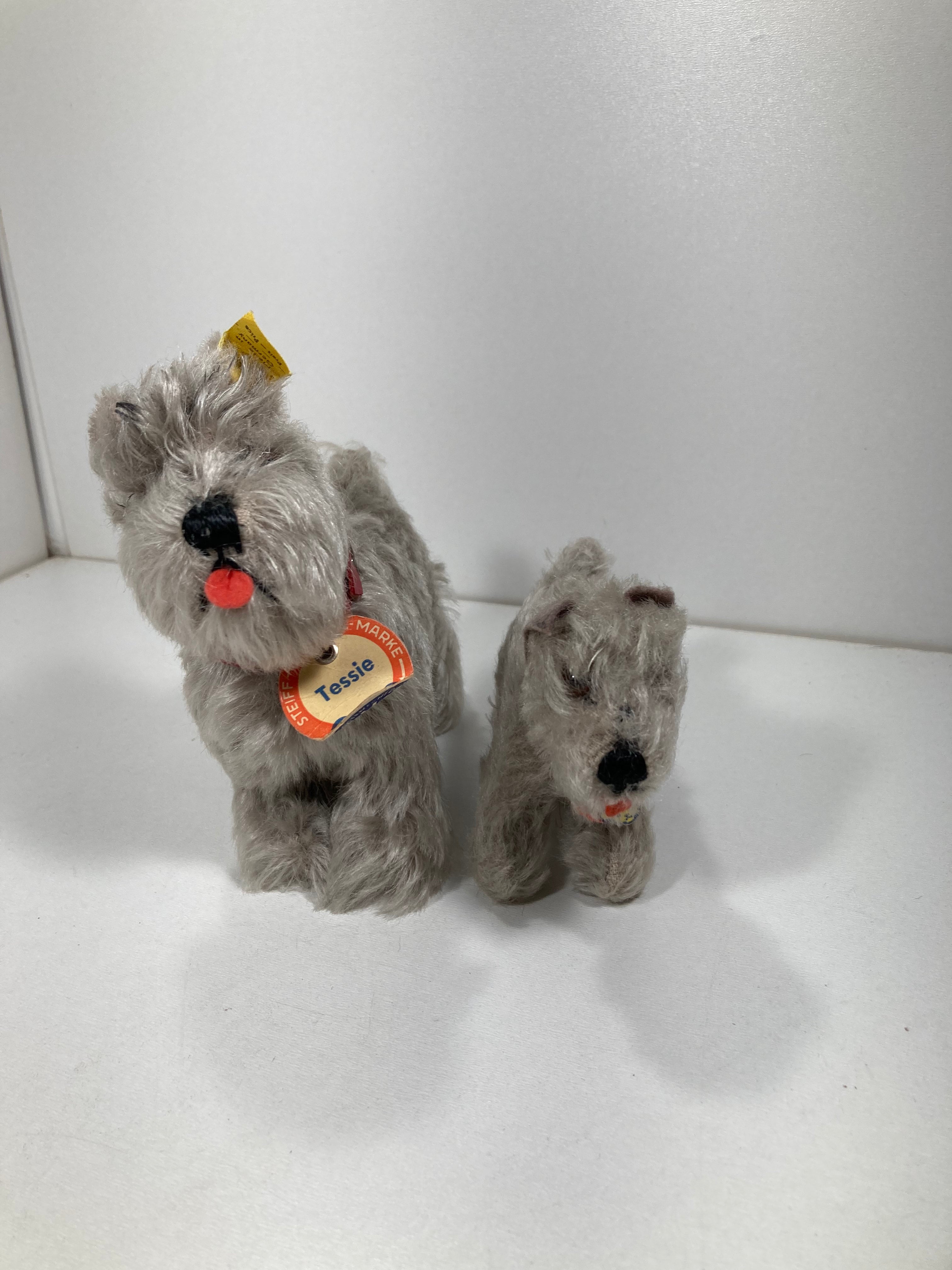 Steiff Small and Medium Sized Tessie Schnauzer Dog Pair With IDs | My Site