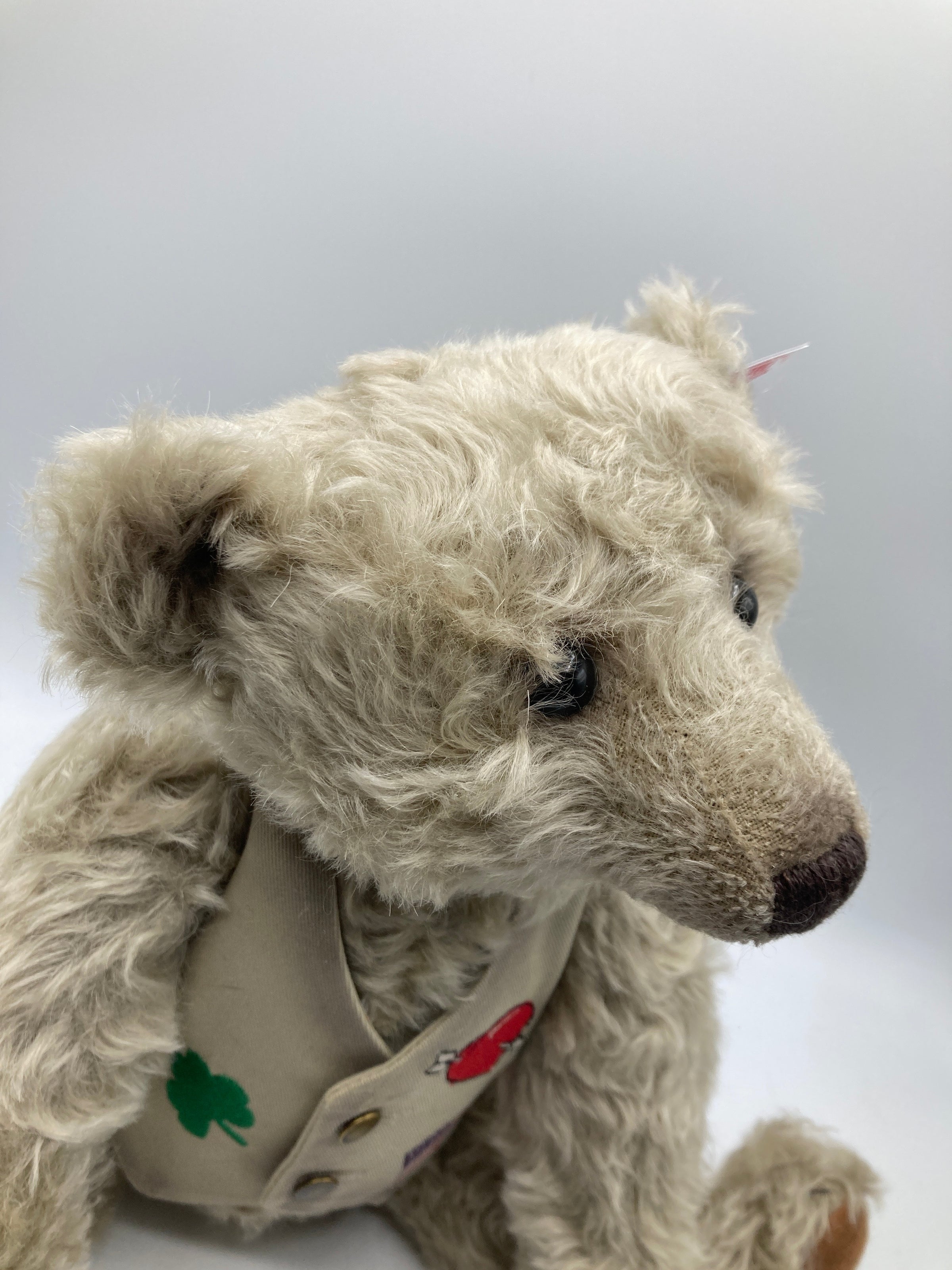 Steiff Mohair Family Heirloom Bear With All IDs | My Site