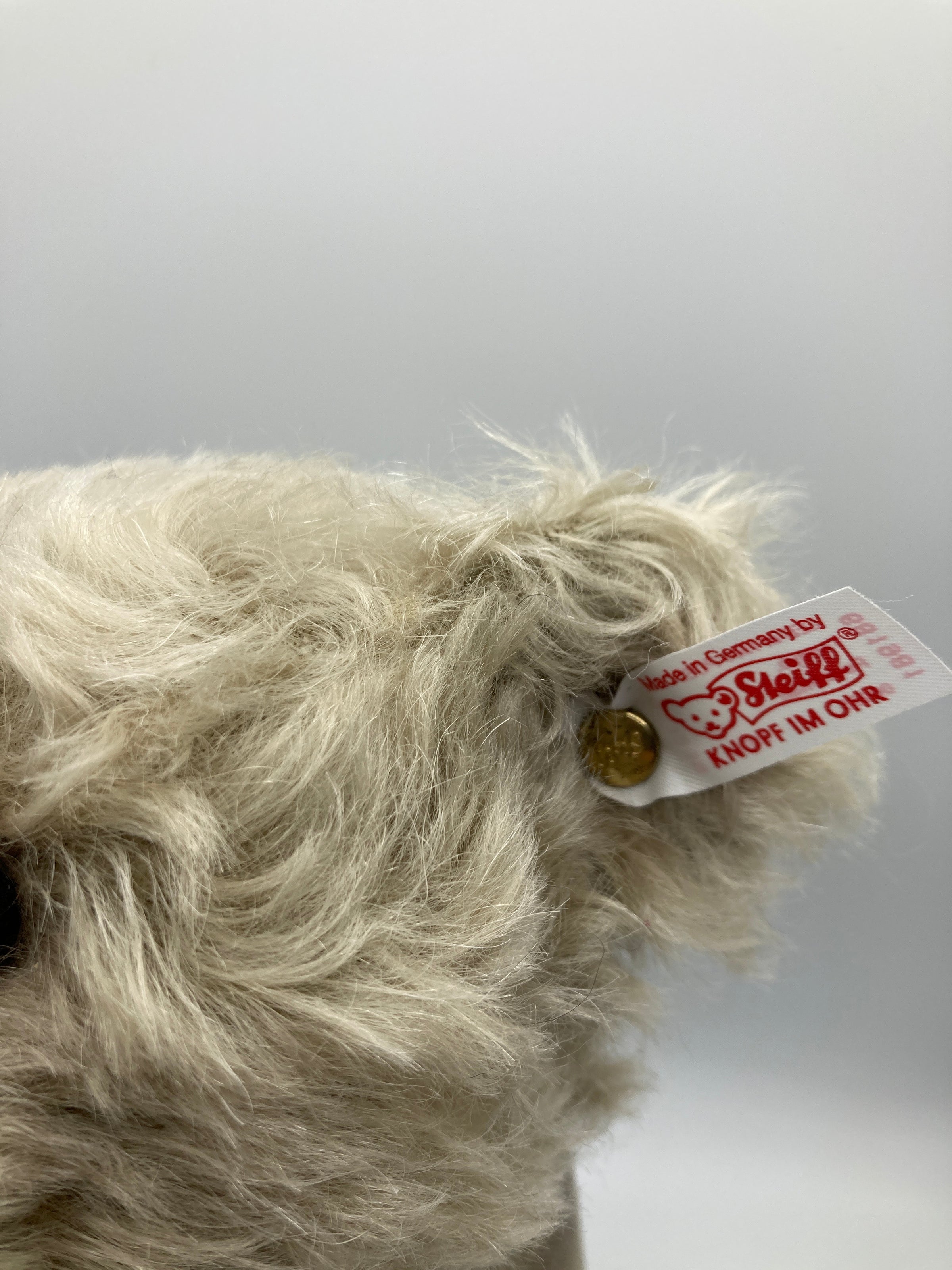 Steiff Mohair Family Heirloom Bear With All IDs | My Site