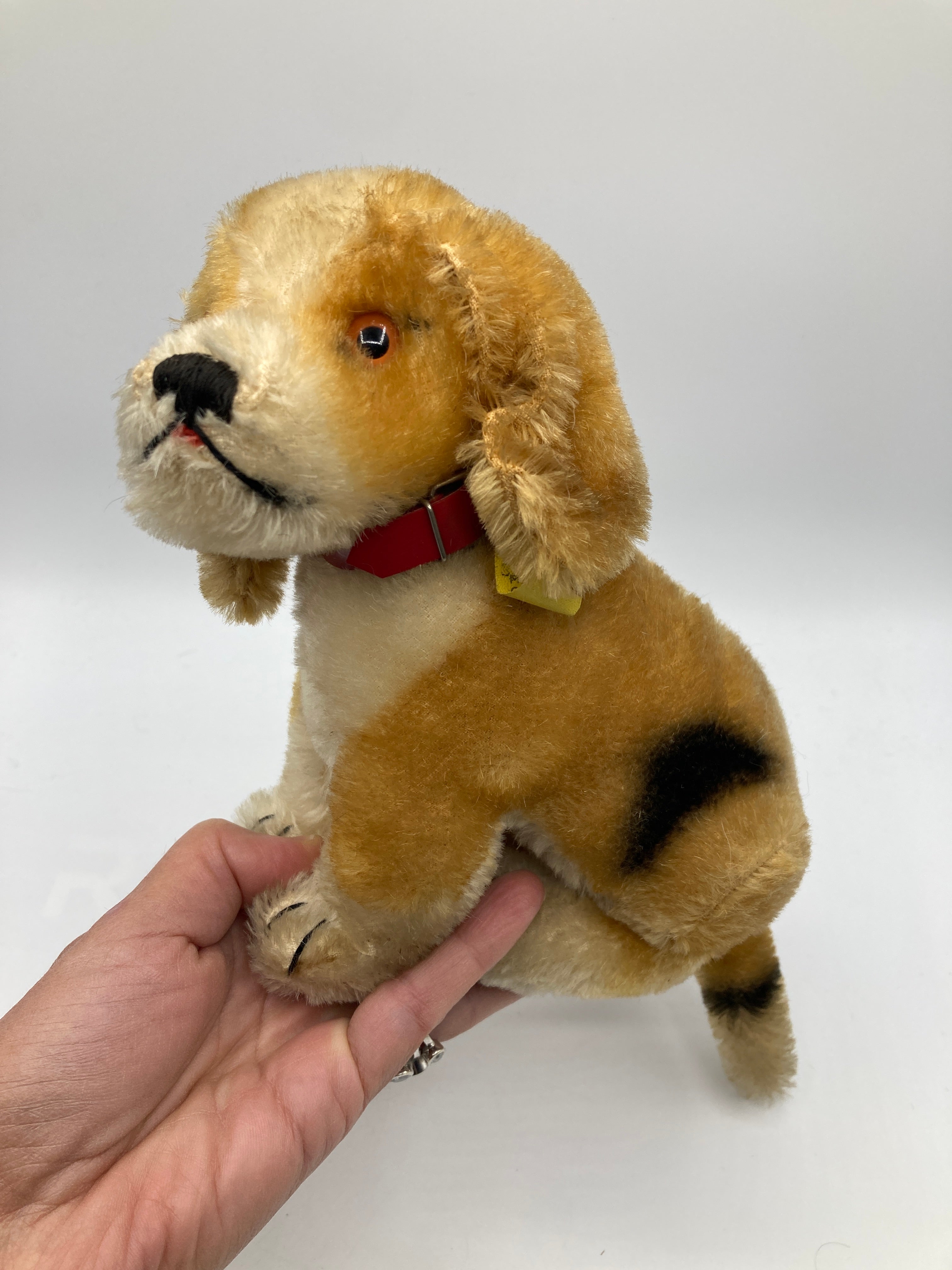 Steiff Largest Mohair Sitting Biggie Beagle With IDs | My Site