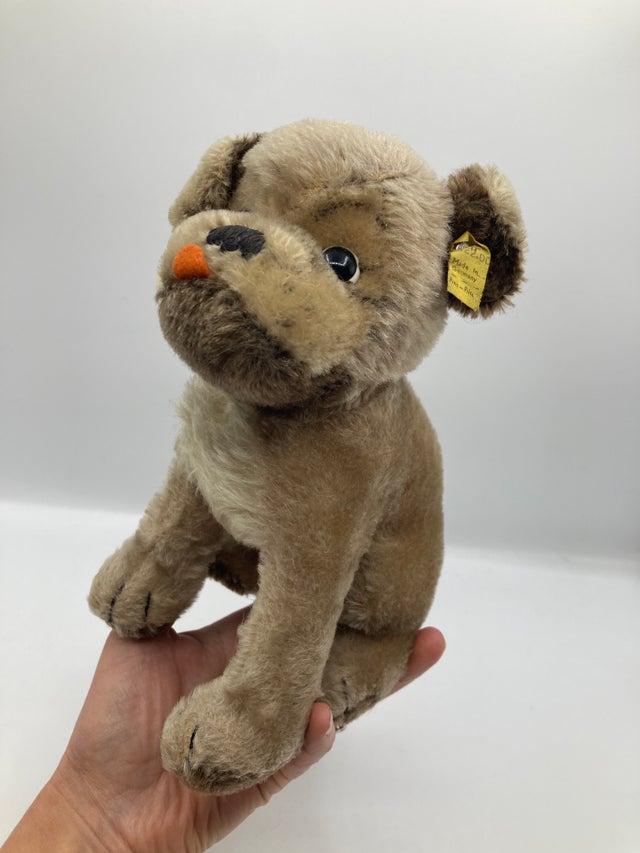 Steiff Largest Mohair Mopsy Pug Dog With IDs