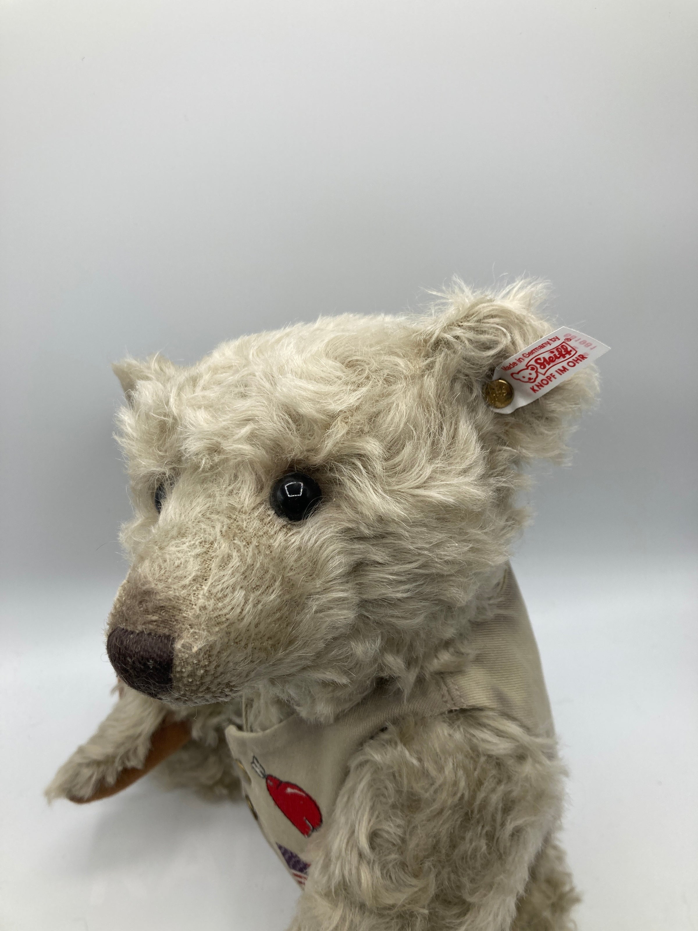 Steiff Mohair Family Heirloom Bear With All IDs | My Site
